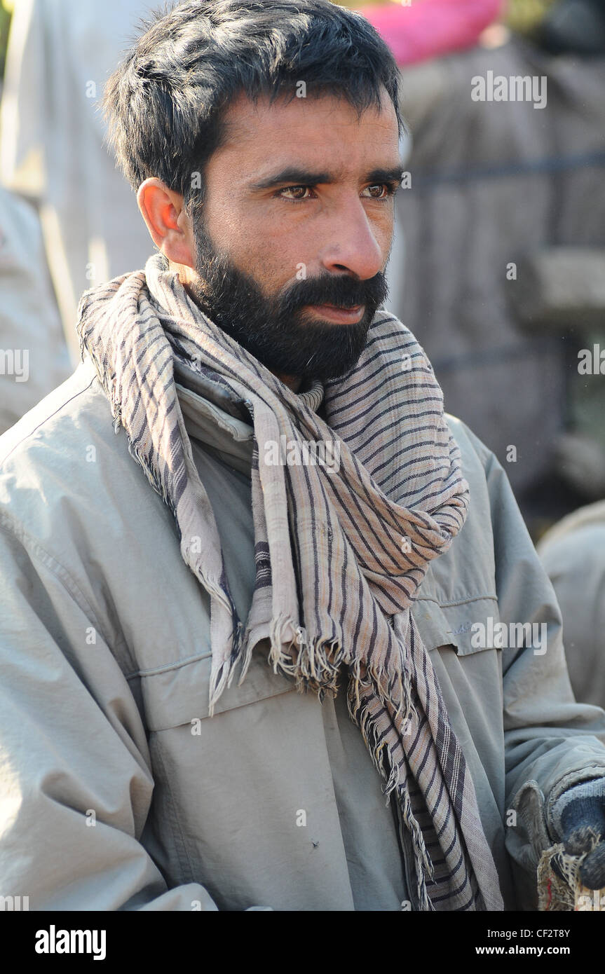 A poor man selling fruits in the subzi mandi (fruit and vegetable ...