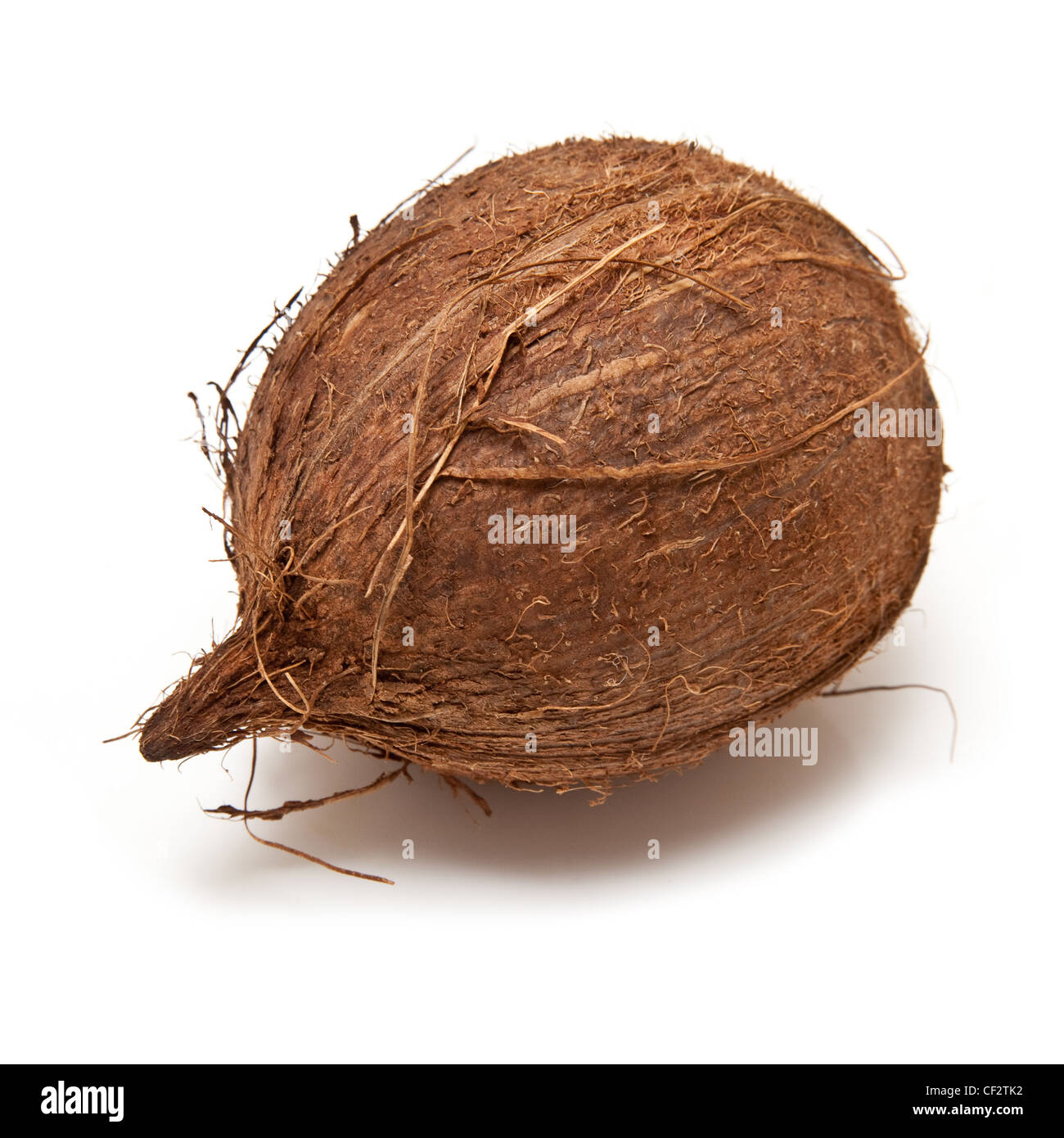 Whole Coconut High Resolution Stock Photography and Images - Alamy
