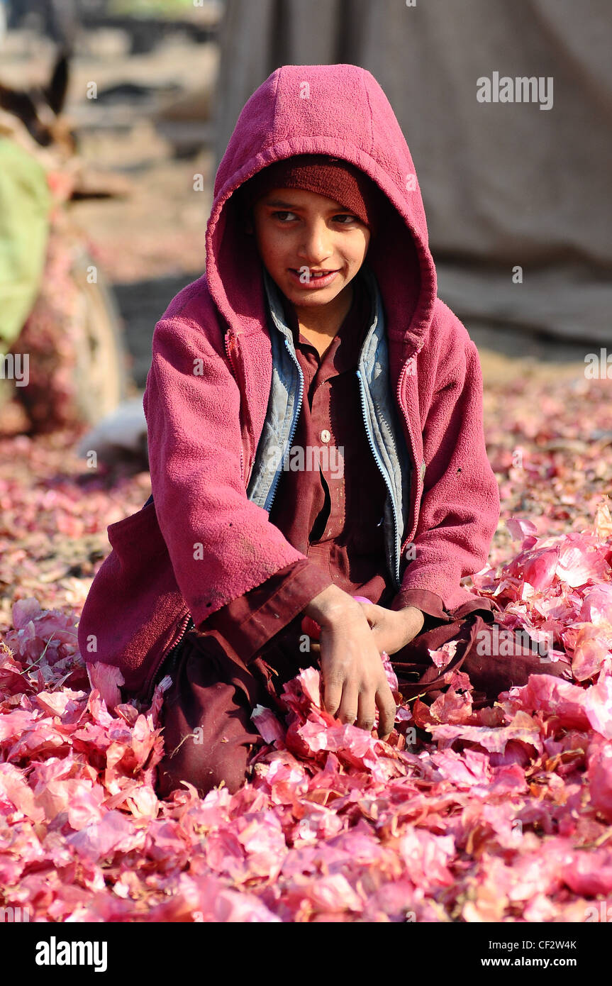 A boy collect stuff from the garbage Stock Photo - Alamy