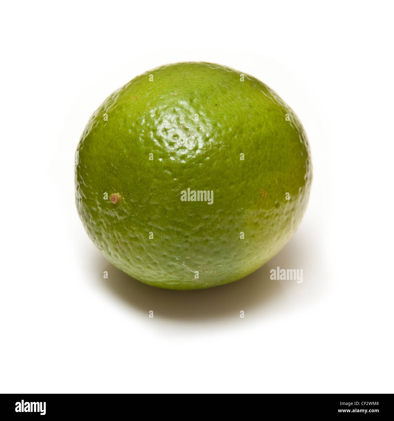 Lime isolated on a white studio background Stock Photo - Alamy