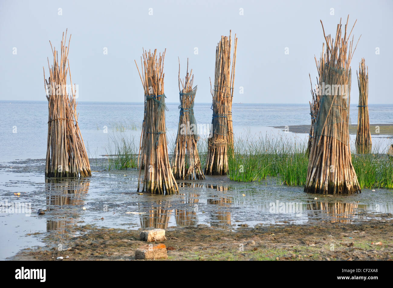 Chilika lake satpada hi-res stock photography and images - Alamy