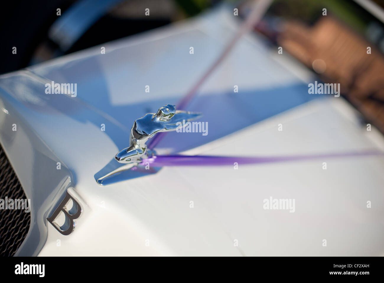 Open top Classic car with figure and purple ribbon Stock Photo - Alamy