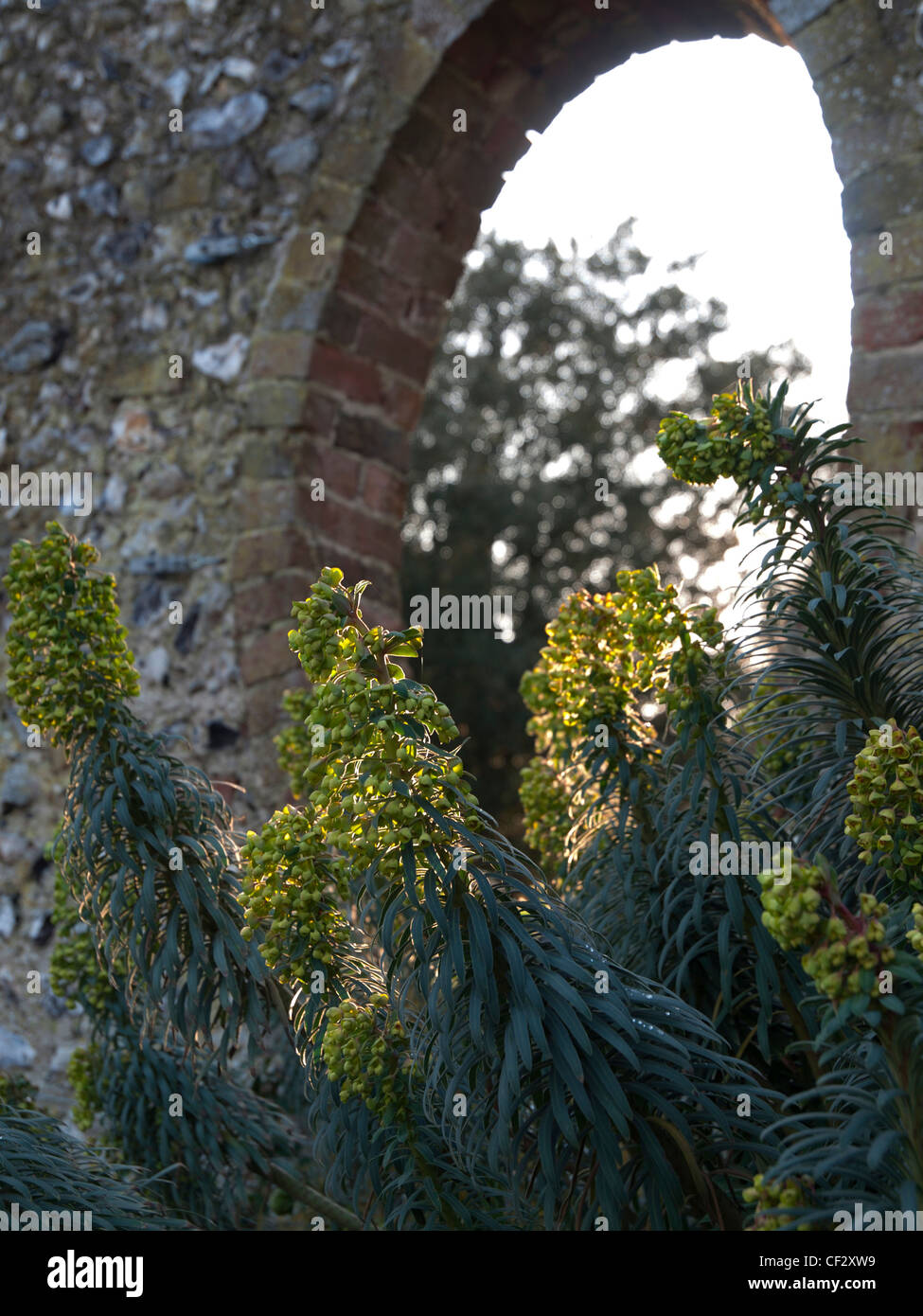 Kipling Gardens in Rottingdean, East Sussex Stock Photo - Alamy