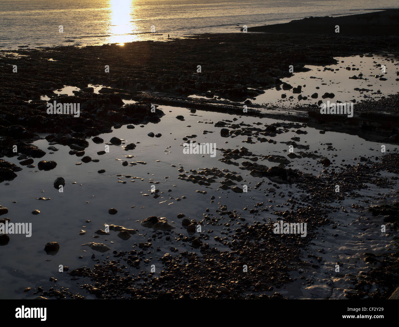 Low tide on the south coast of England Stock Photo - Alamy