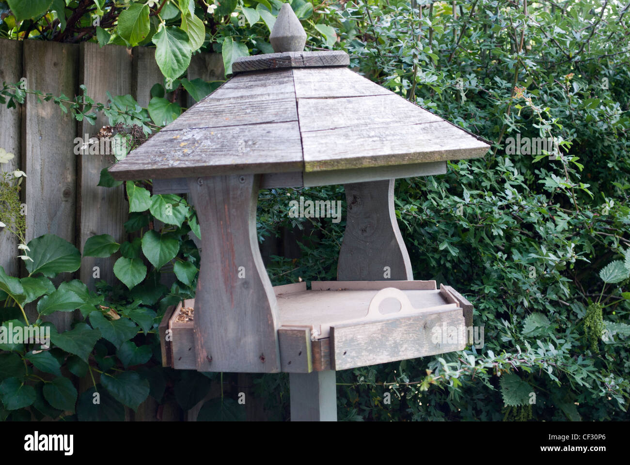 Old and weatherbeaten bird table with roof against fence with greenery ...