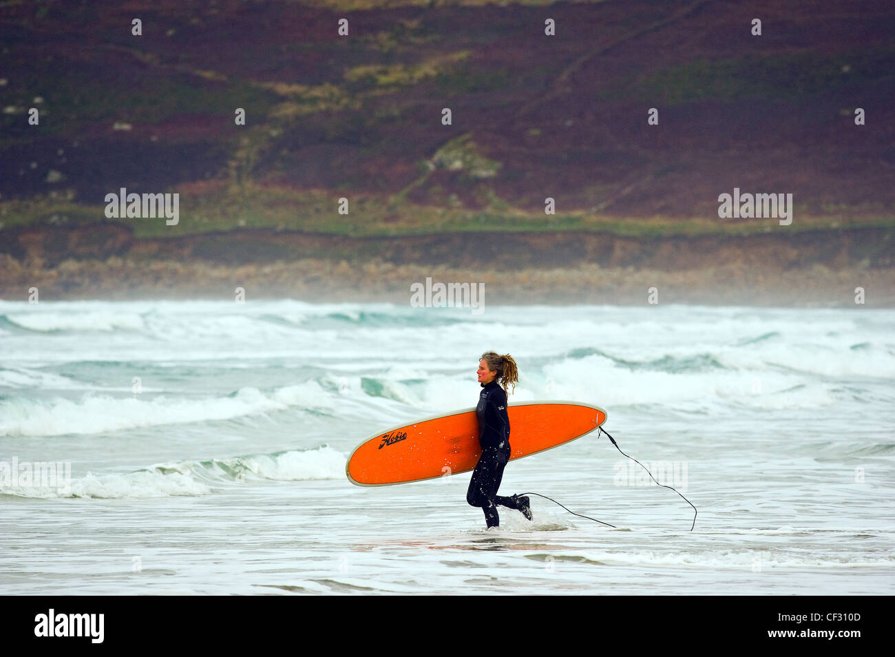 A female surfer running into the sea with her surfboard at Sennen Cove ...