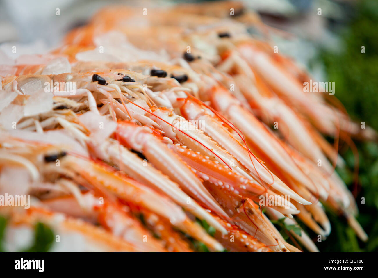 A view of fresh shell fish on display in Borough Market Stock Photo - Alamy