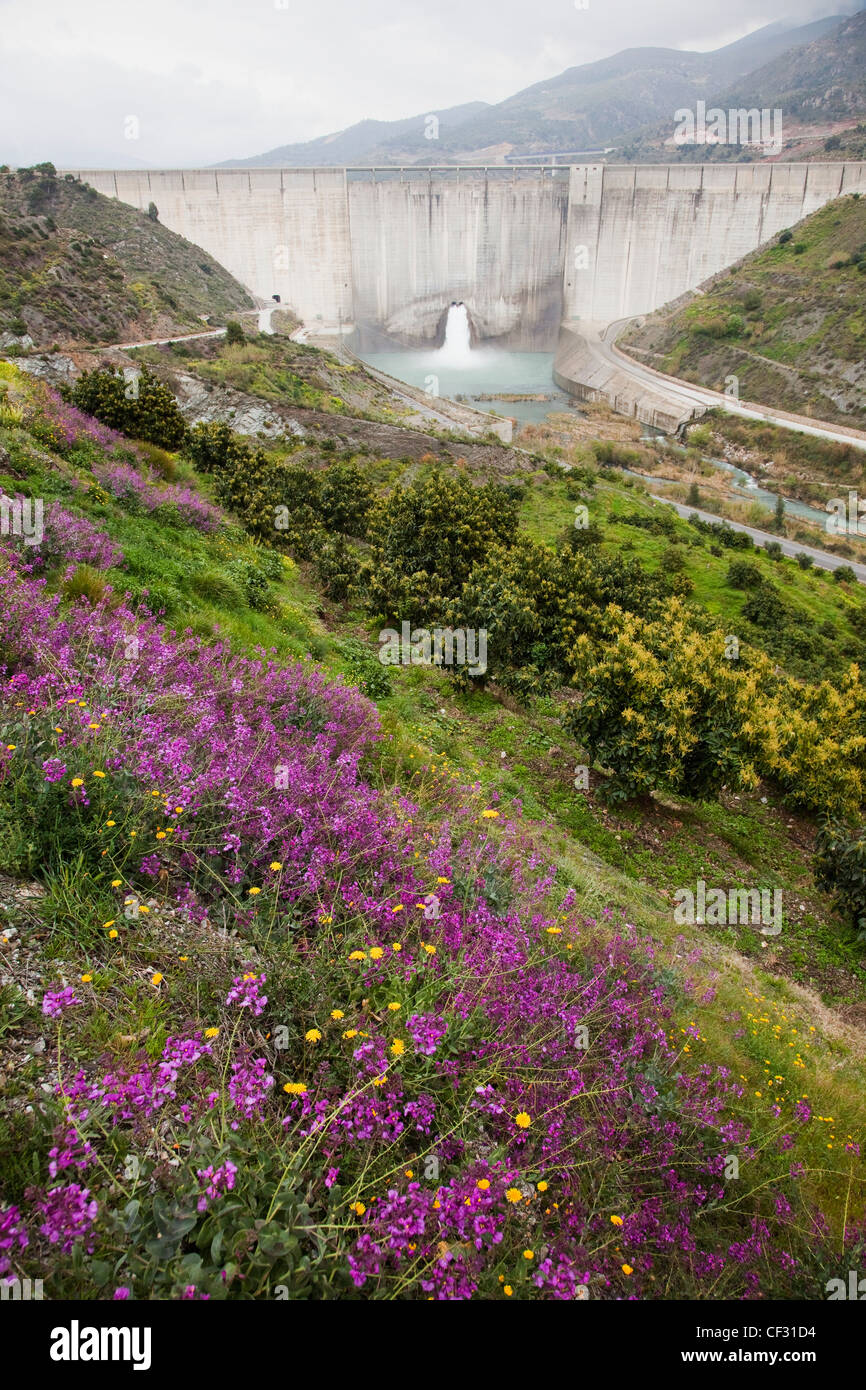 Water Dam And Wildflowers On A Hill Near Granada; Andalusia Spain Stock ...