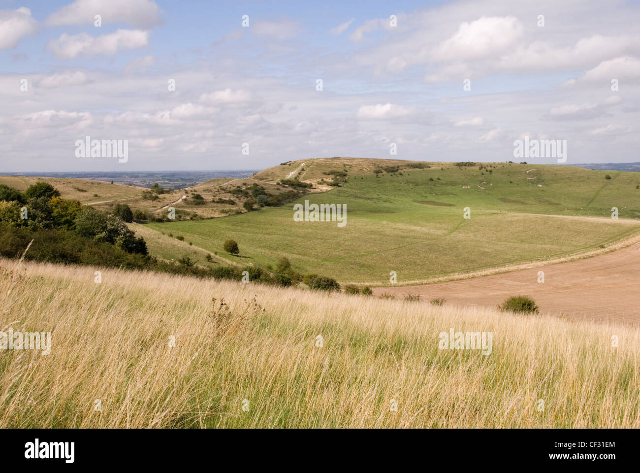 Chiltern Hills - view across chalk grassland to Ridgeway path climbing ...