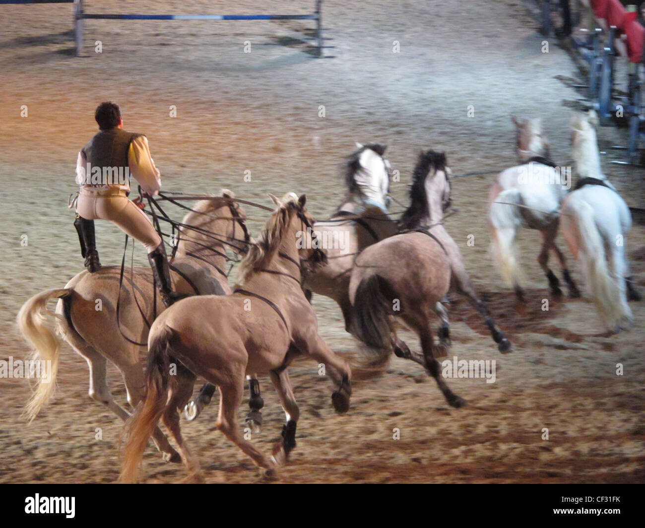 Equestrian show jumping rome hi-res stock photography and images - Alamy
