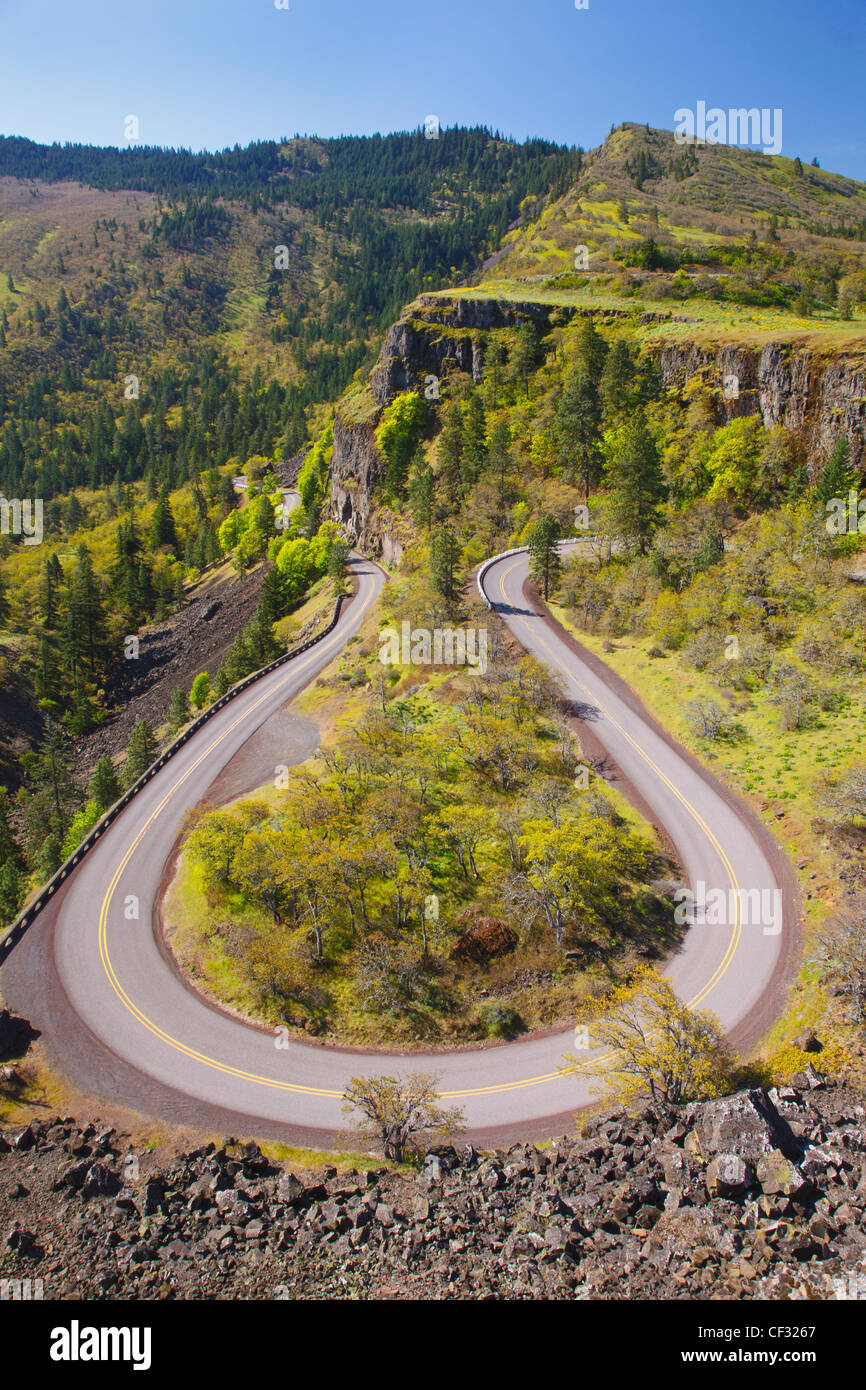 Old Highway In The Columbia River Gorge; Oregon United States Of ...