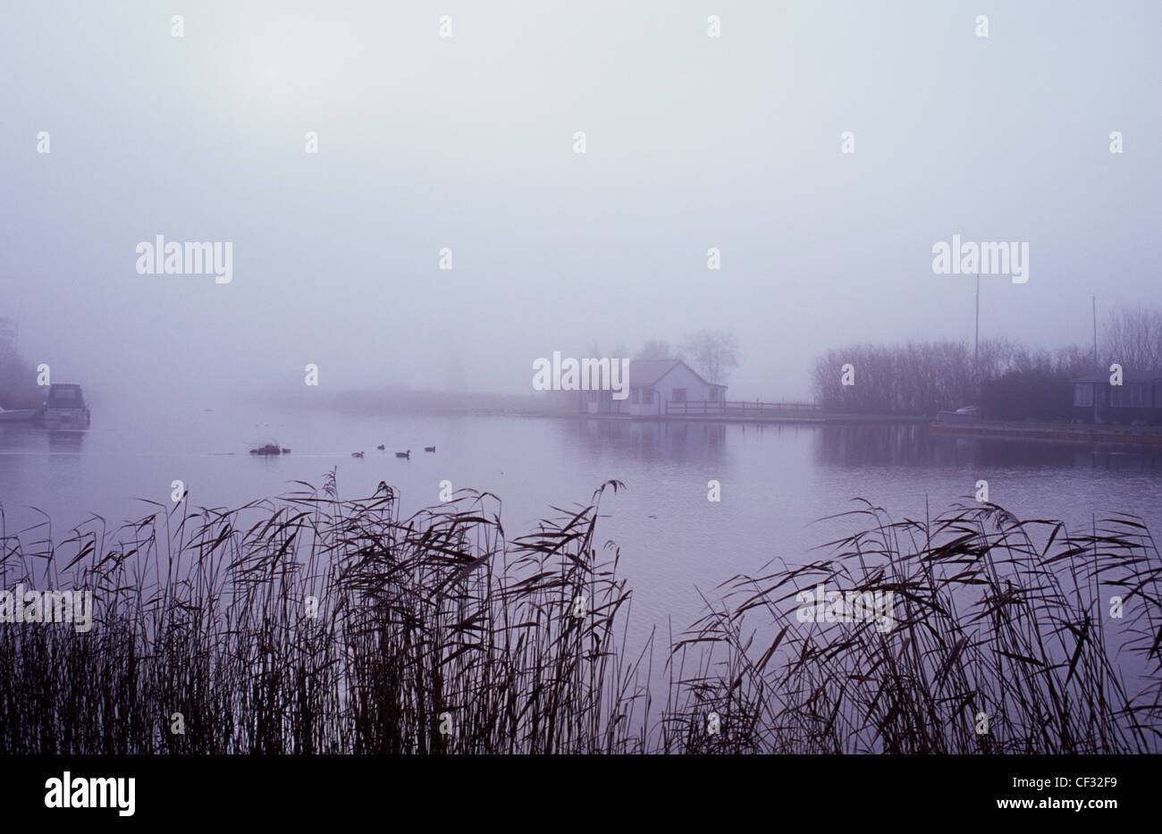 View across river on cold misty morning with reeds ducks chalets and ...