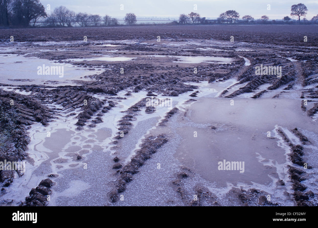 Wintry landscape with frozen puddles at rutted entrance to flat muddy ...