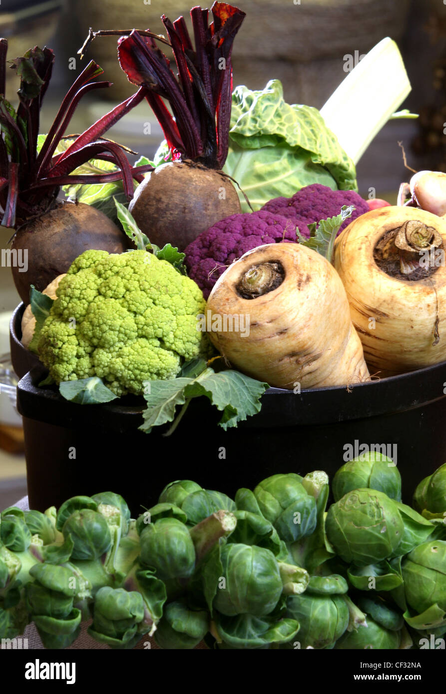 A display of seasonal winter vegetables, including beetroot, parsnips ...