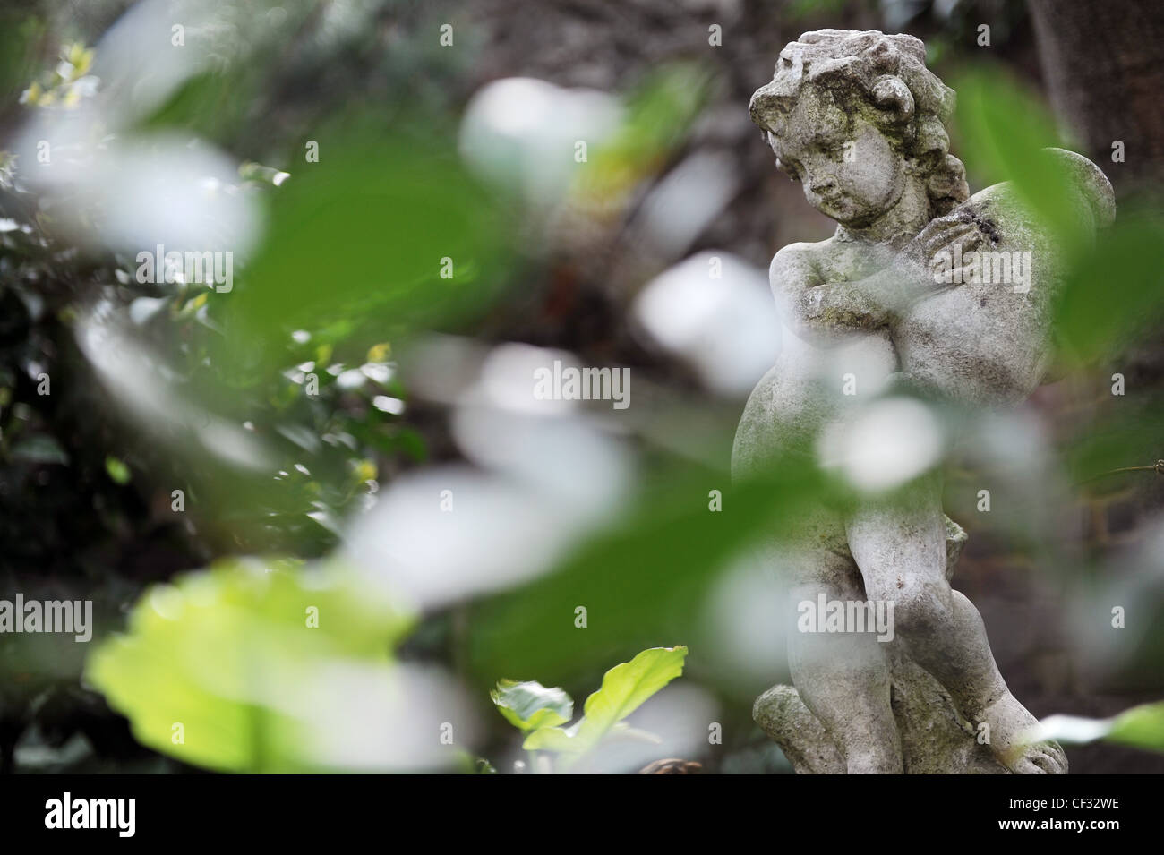 Hidden Treasure Stone sculpture of cherub with vase in the garden with ...