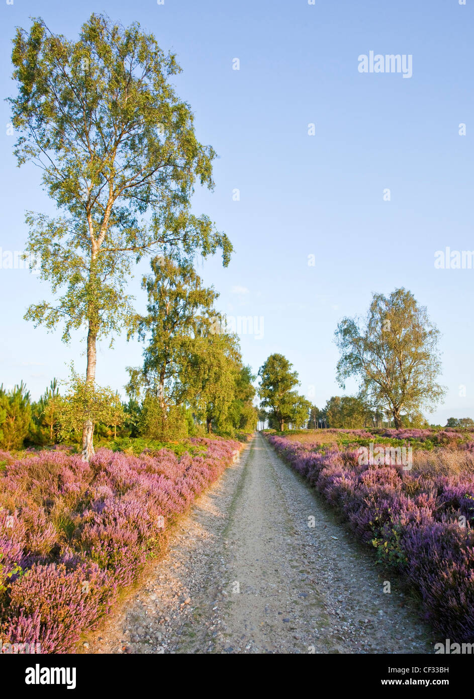 Track scenes hi-res stock photography and images - Alamy