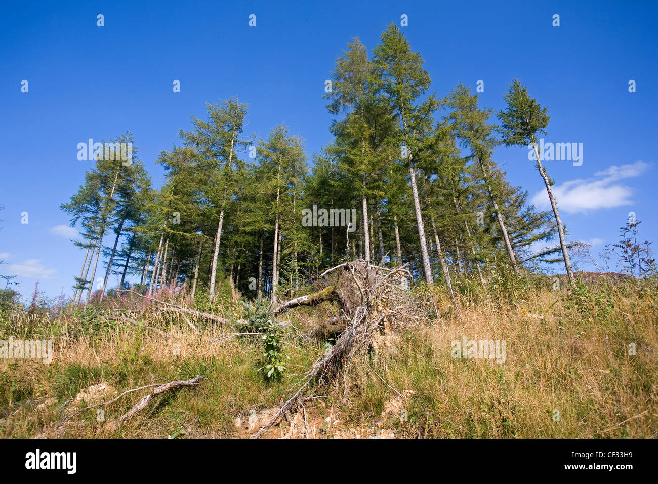 The heart of the snowdonia national park hi-res stock photography and ...