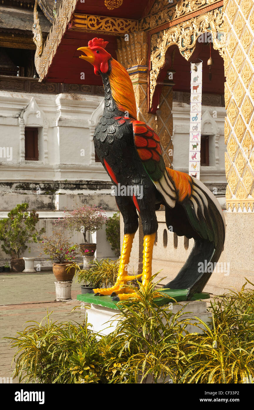 Good Looking Thai Rooster