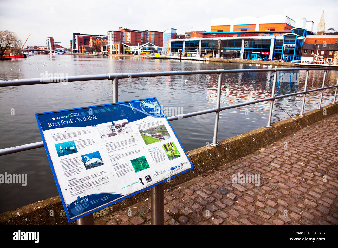 The Brayford Pool is a natural lake formed from a widening of the River ...