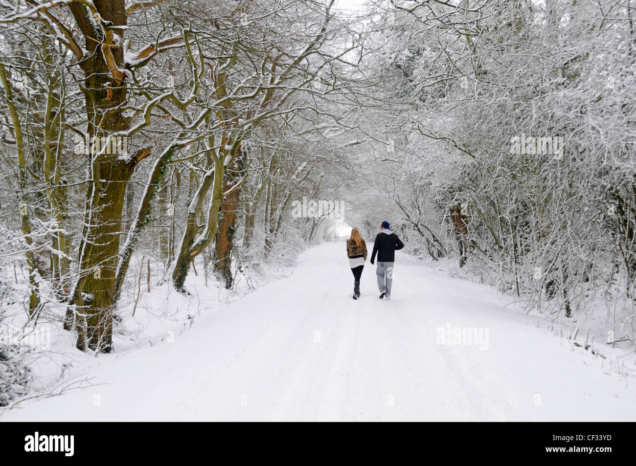 Walking in country lane hi-res stock photography and images - Alamy