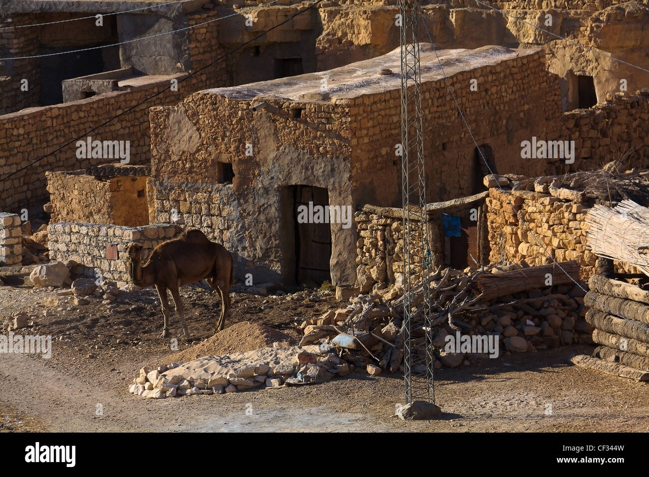 House of the old camel hi-res stock photography and images - Alamy