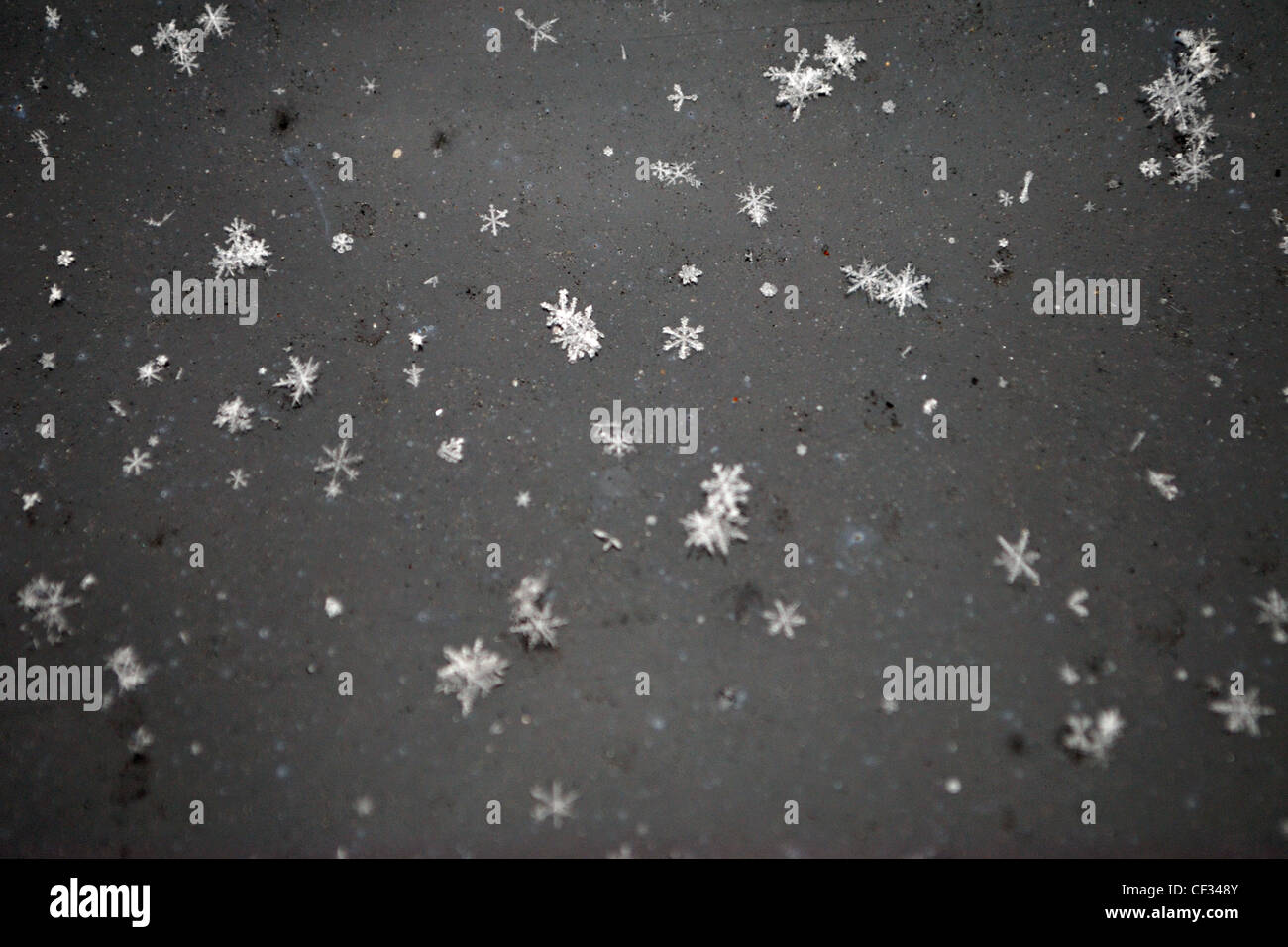 Snow flakes hi-res stock photography and images - Alamy
