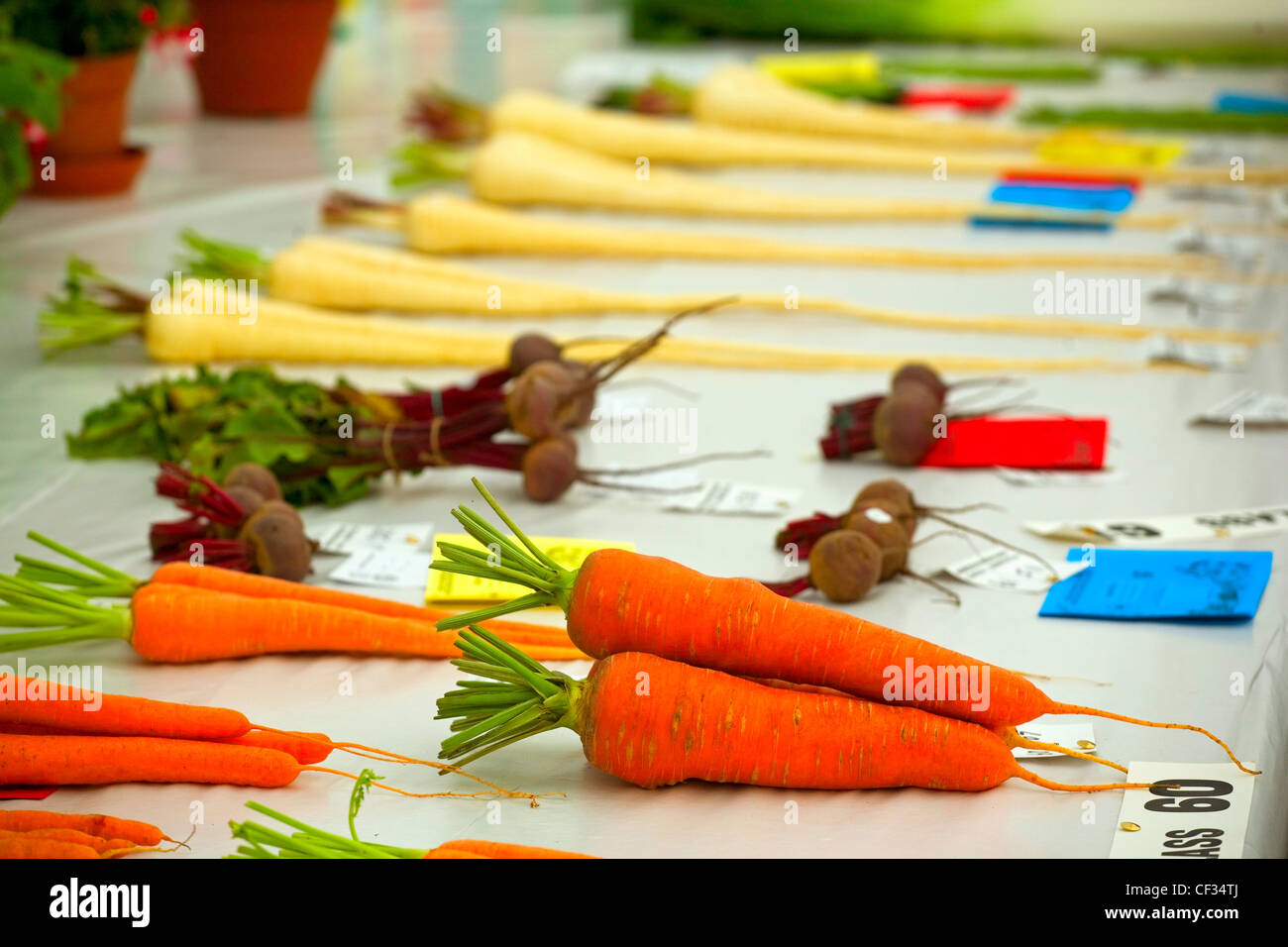 Vegetables display show veg hi-res stock photography and images - Alamy