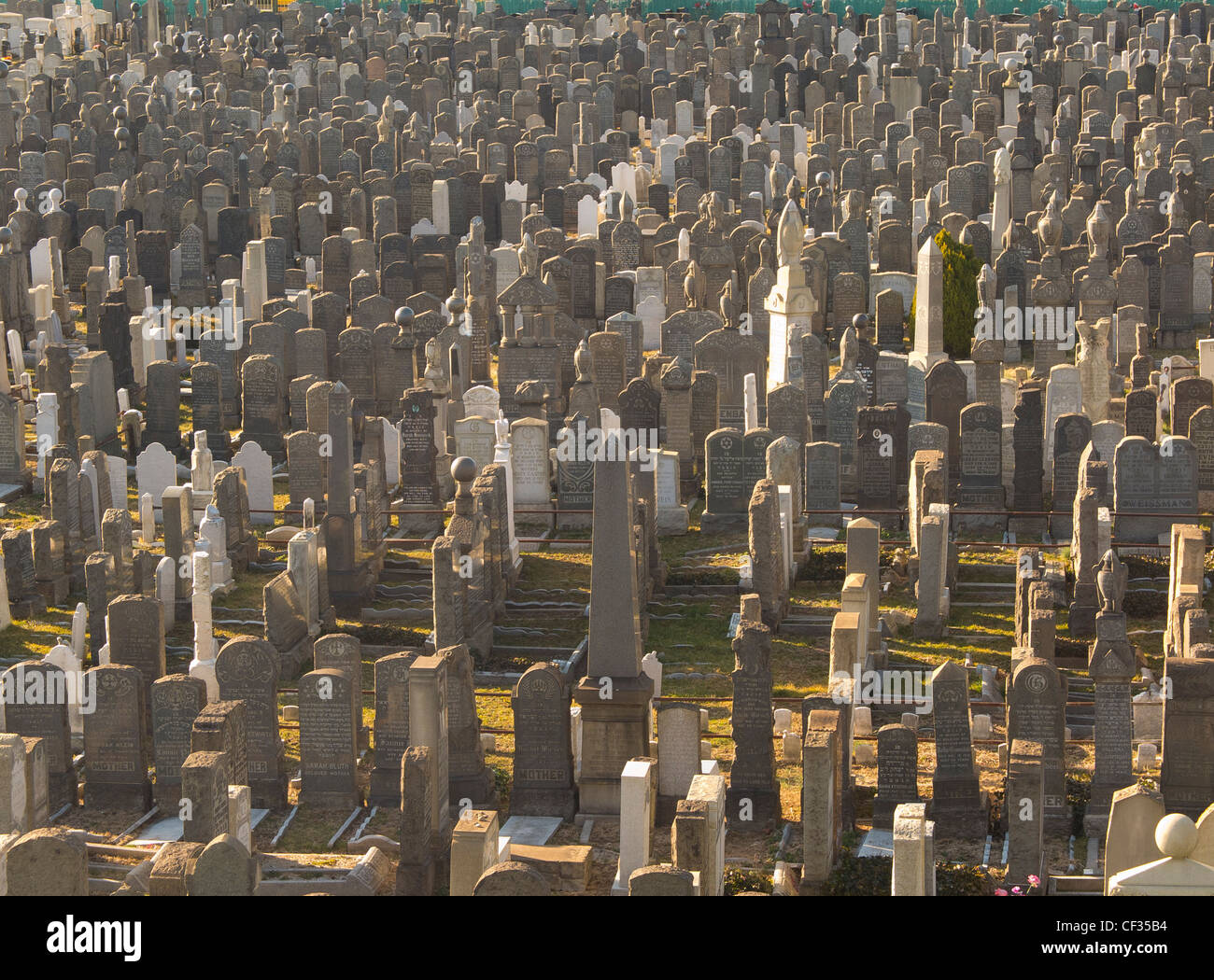 tombstones in Washington Cemetery Brooklyn New York City Stock Photo ...