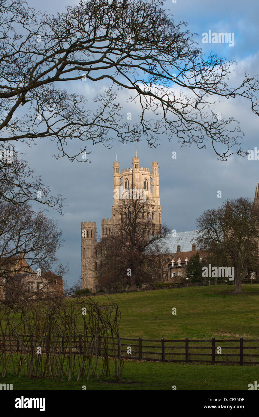 Ely Cathedral in city of Ely, Cambridgeshire, England Stock Photo - Alamy