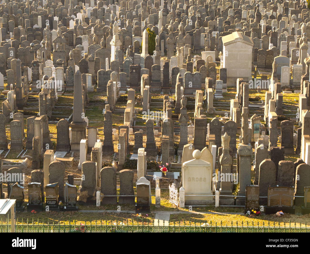 tombstones in Washington Cemetery Brooklyn New York City Stock Photo ...