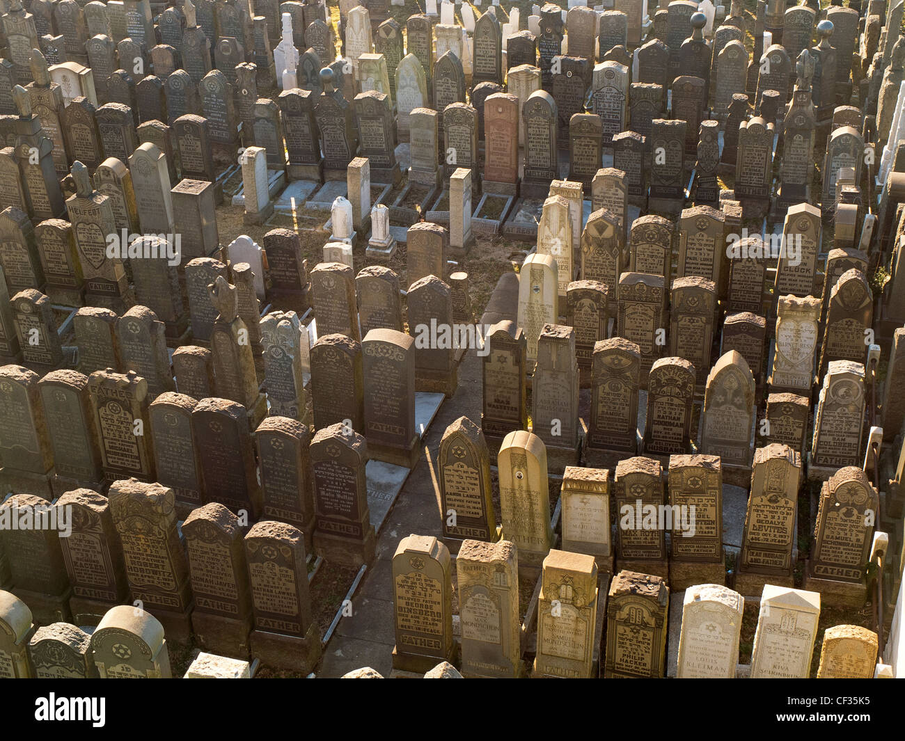 tombstones in Washington Cemetery Brooklyn New York City Stock Photo ...