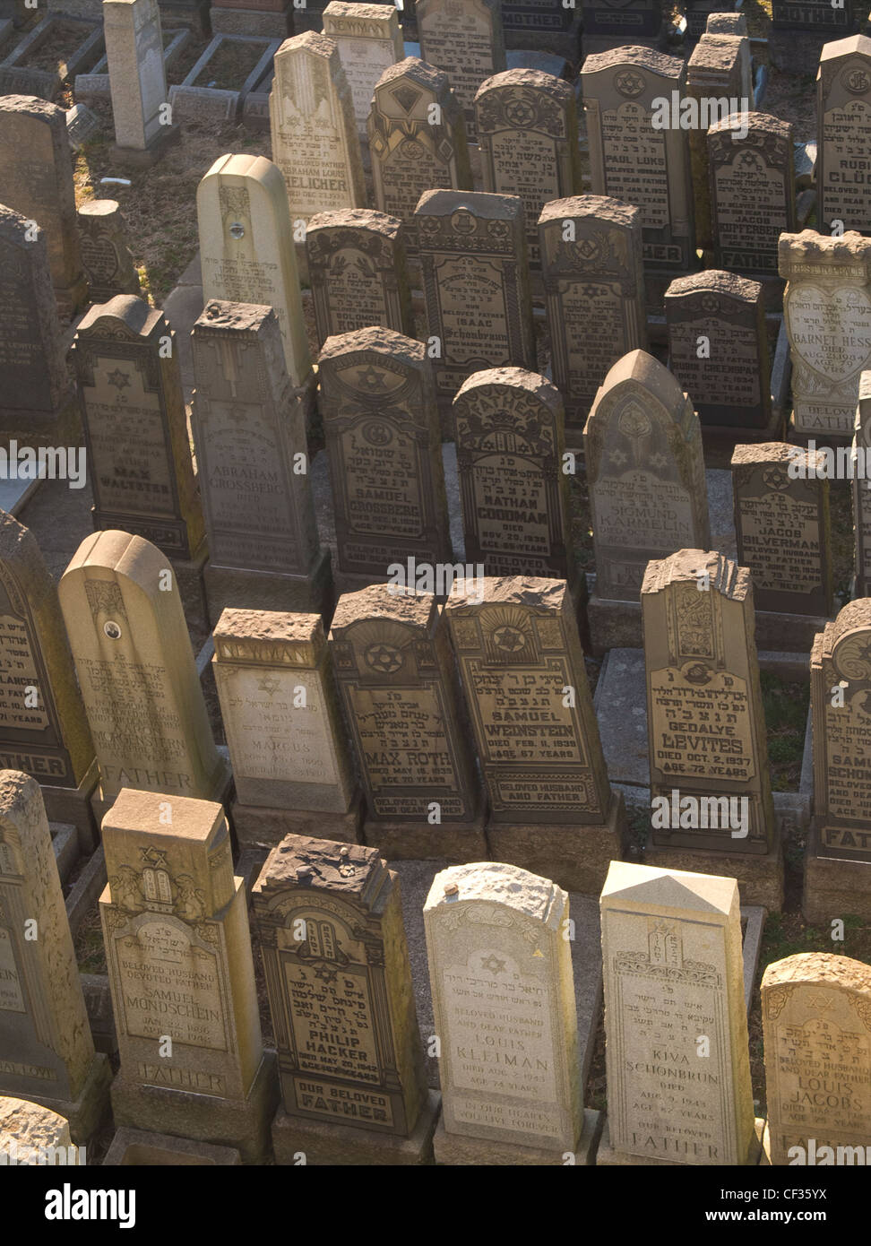 tombstones in Washington Cemetery Brooklyn New York City Stock Photo ...