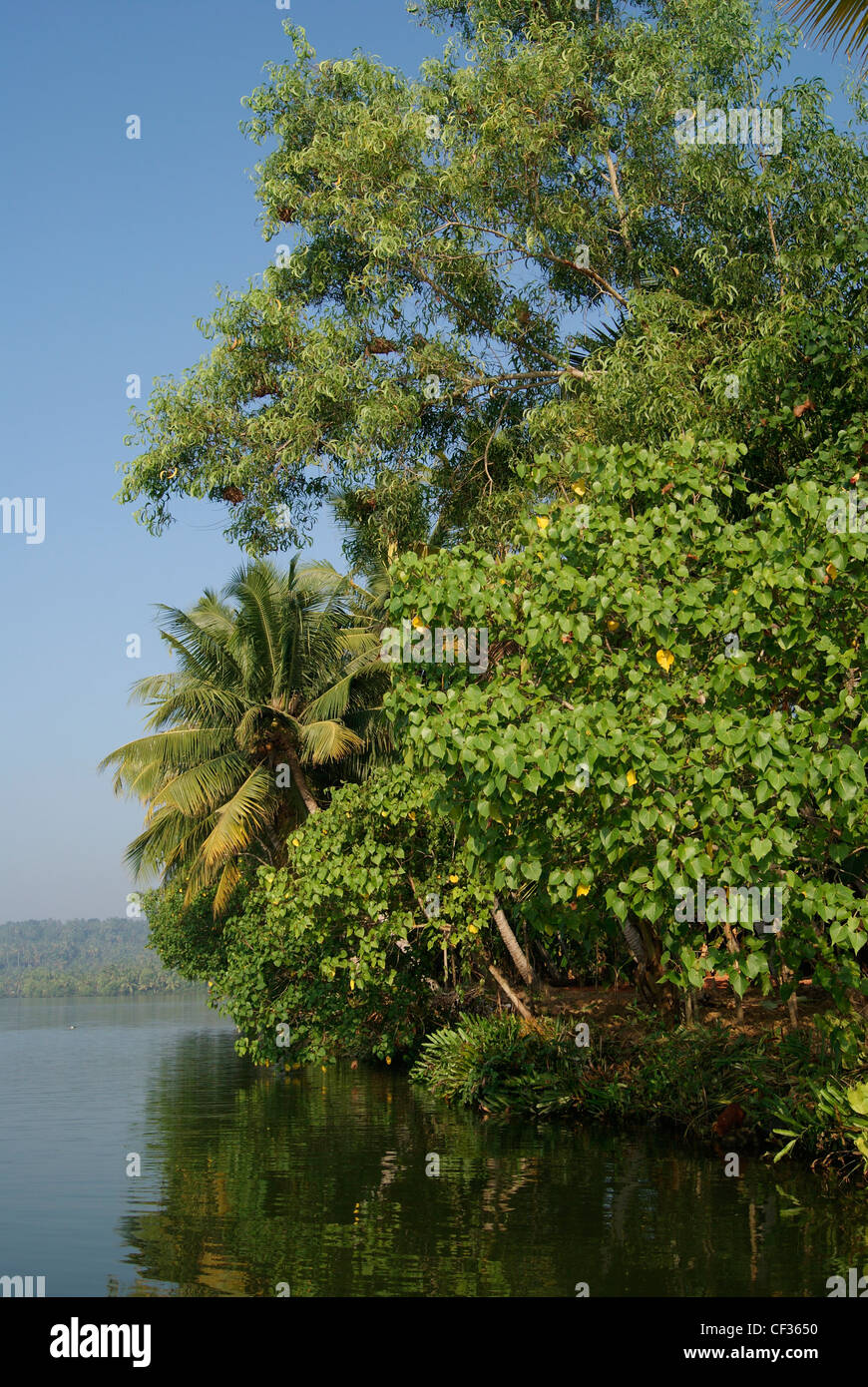 Kerala nature hi-res stock photography and images - Alamy