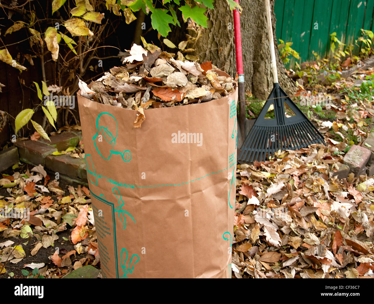 Fall foilage in Michigan getting bagged as yard waste Stock Photo - Alamy