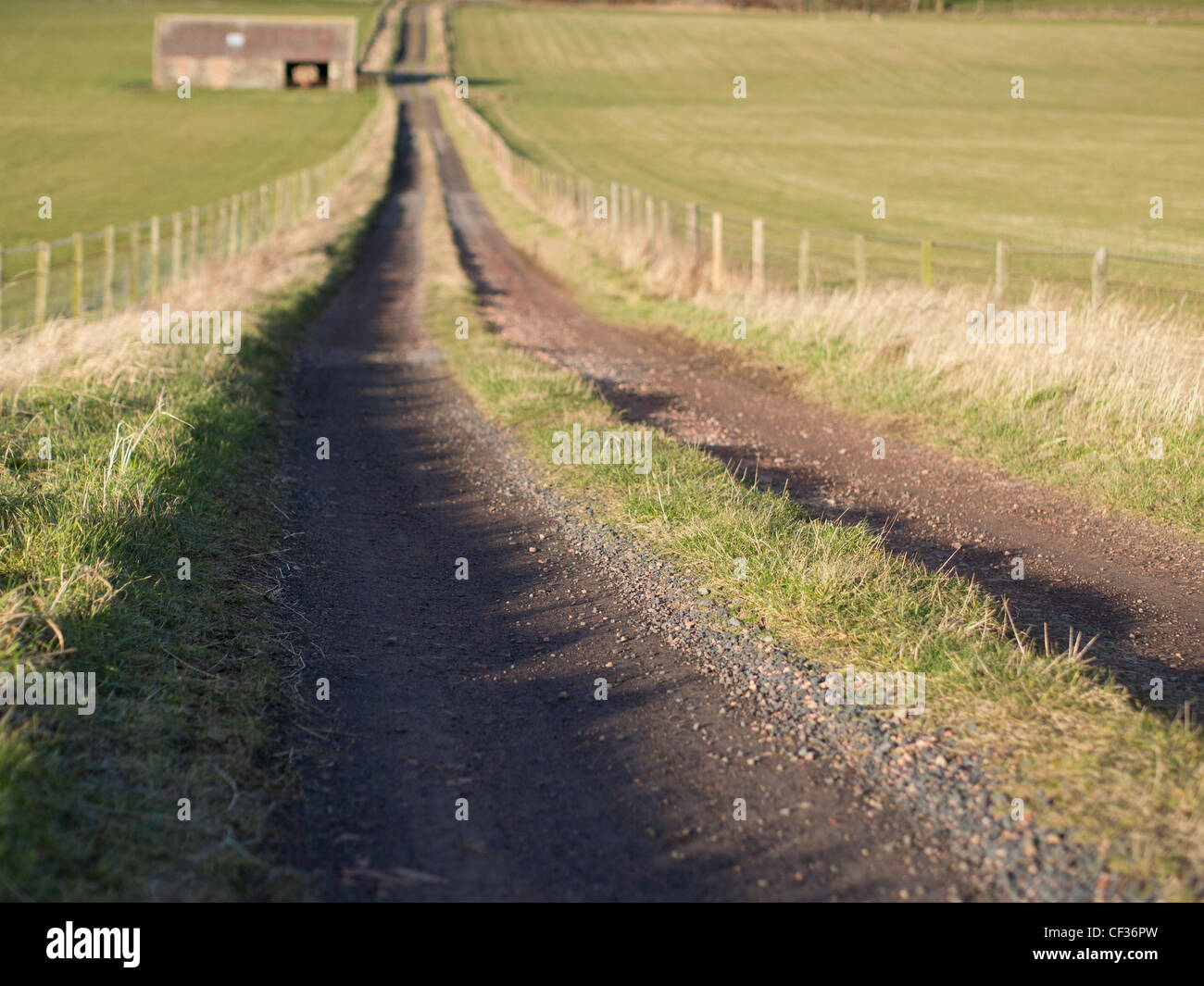 Farm Track, Fife, Scotland Stock Photo - Alamy
