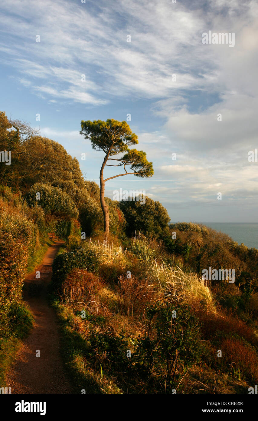 Rock walk torquay devon england hi-res stock photography and images - Alamy