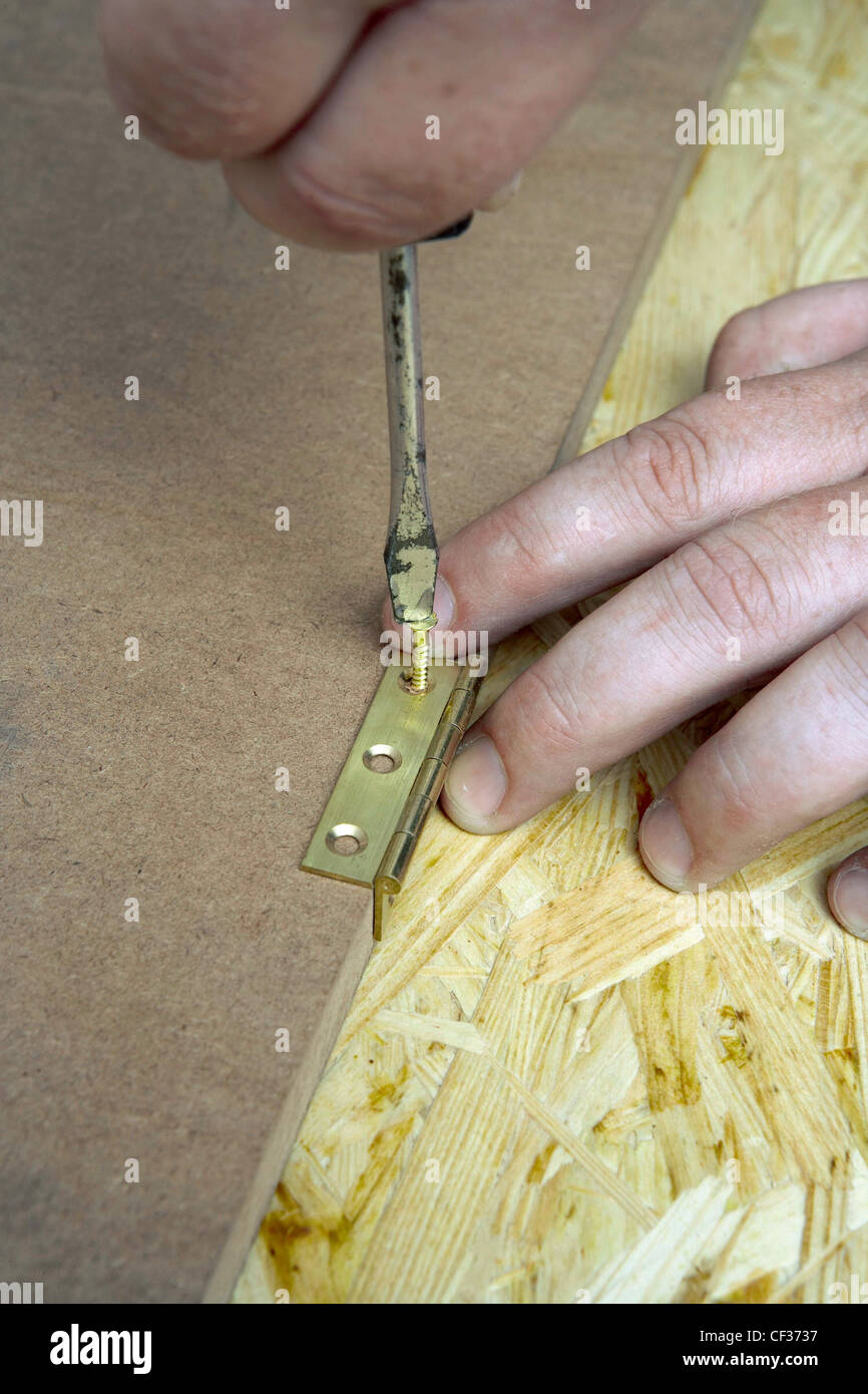 Musicthe masses Make your own CD and DVD storage rack Step Screw on ...