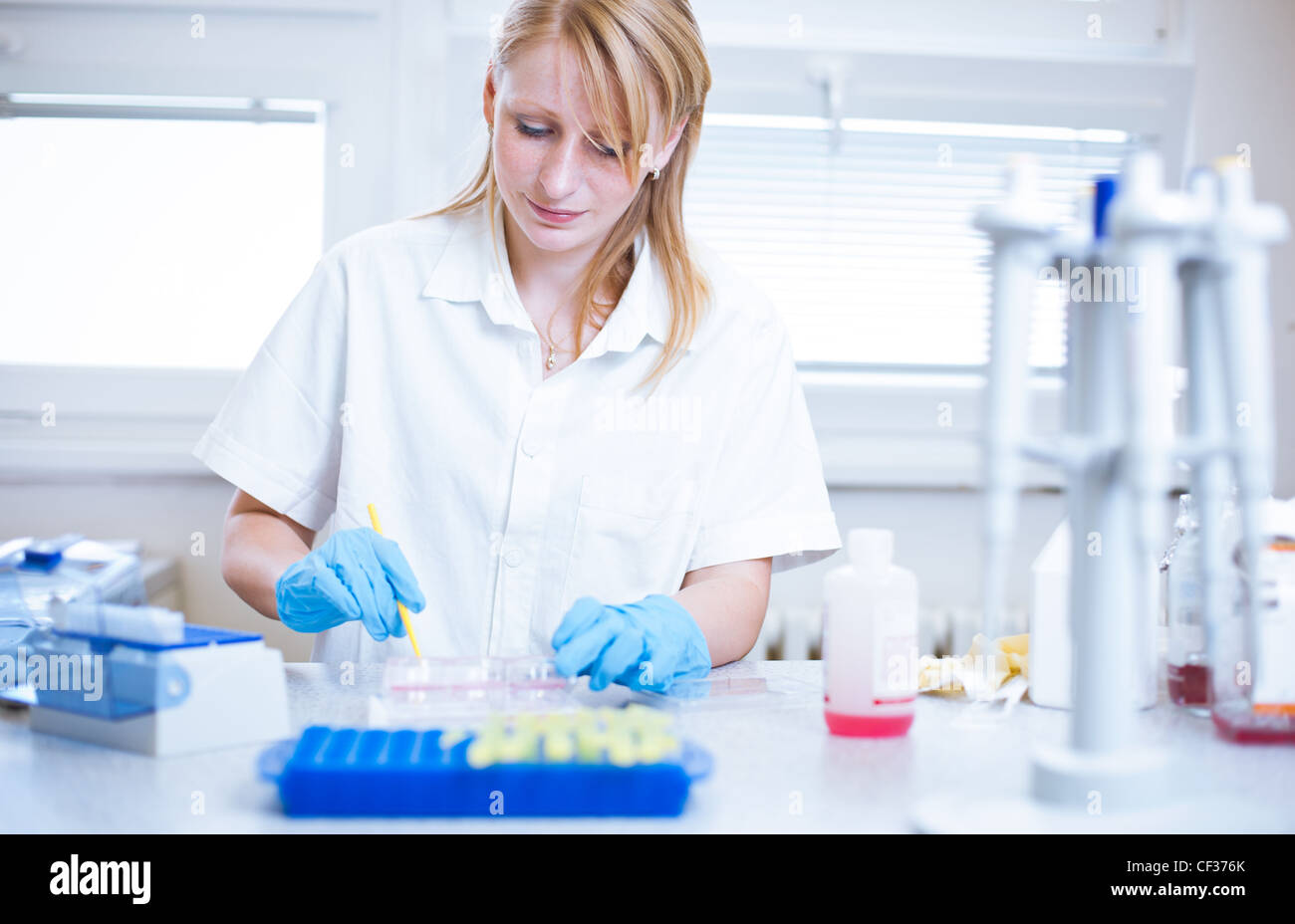Female researcher doing research in a lab Stock Photo - Alamy