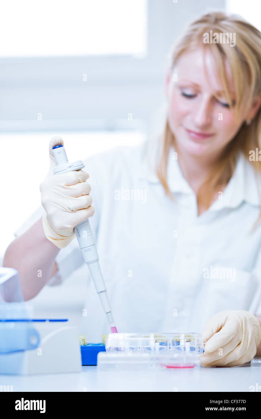 Female researcher doing research in a lab Stock Photo - Alamy