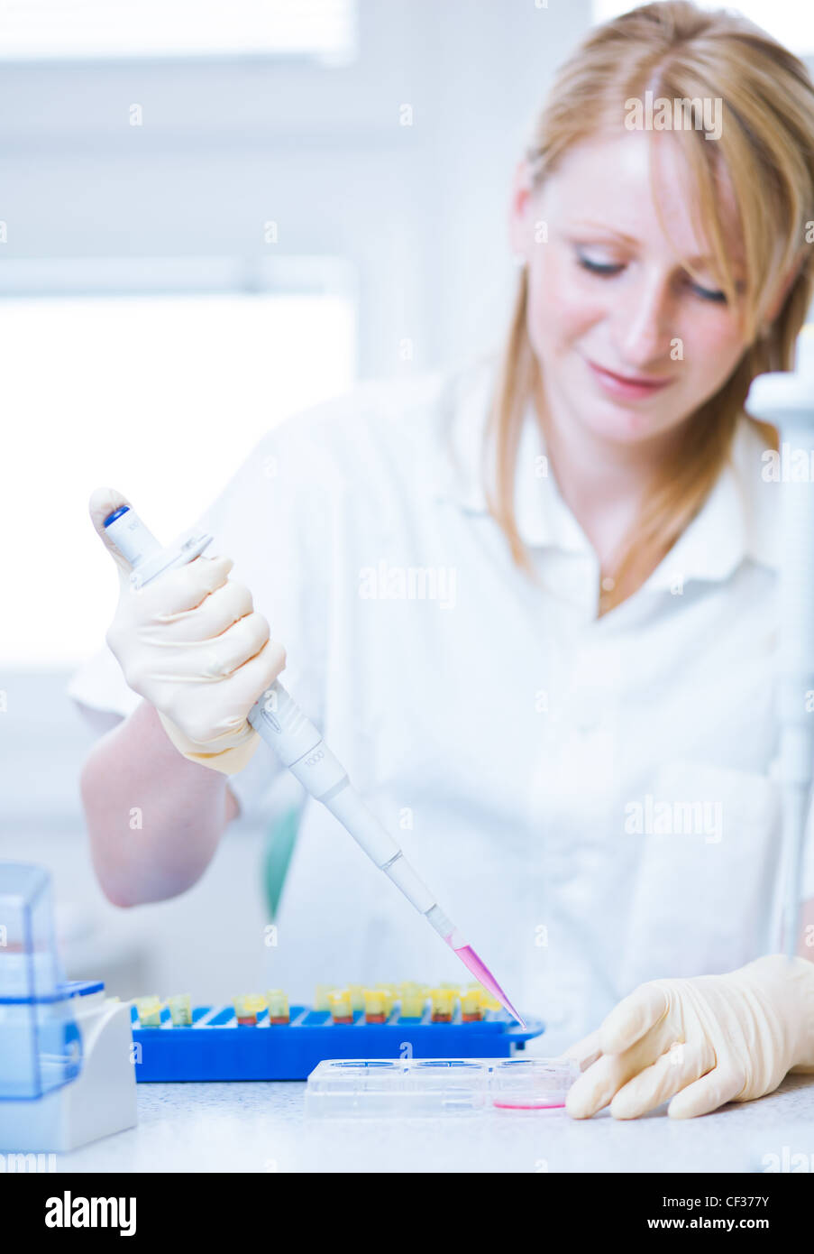 Female researcher doing research in a lab Stock Photo - Alamy