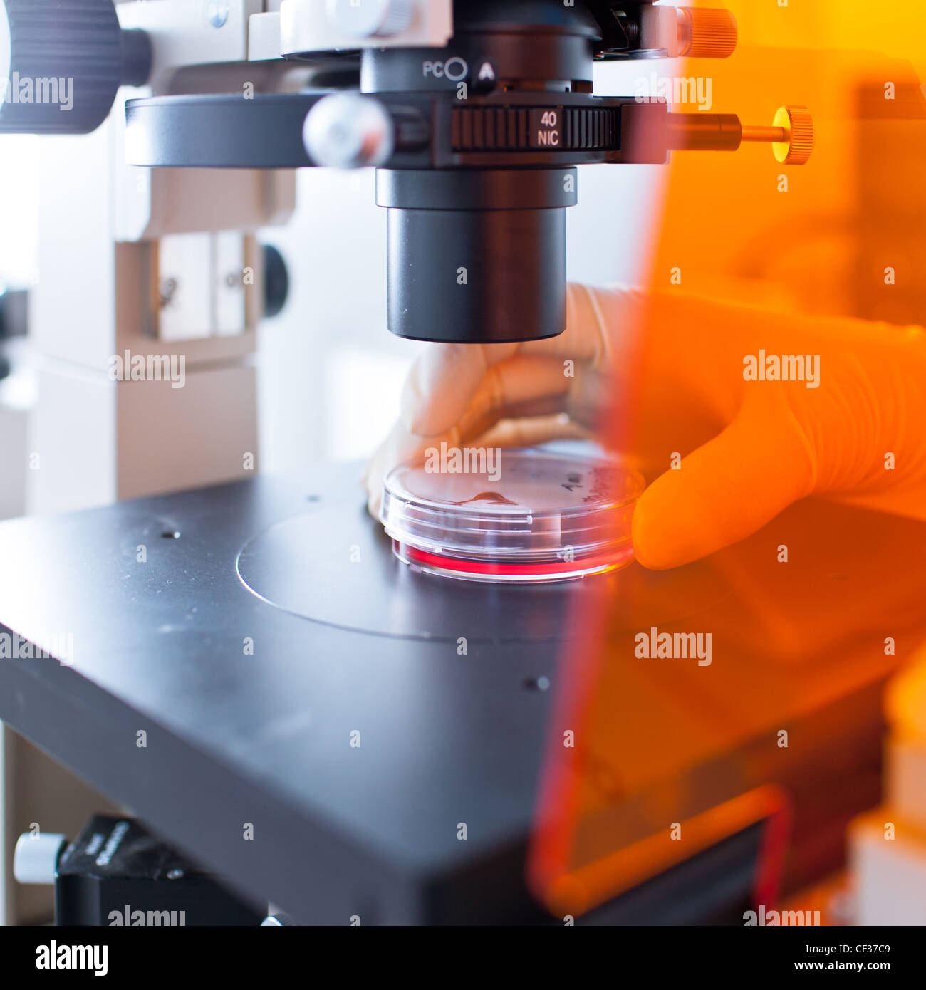 Research - using a modern microscope in a lab (color toned image ...
