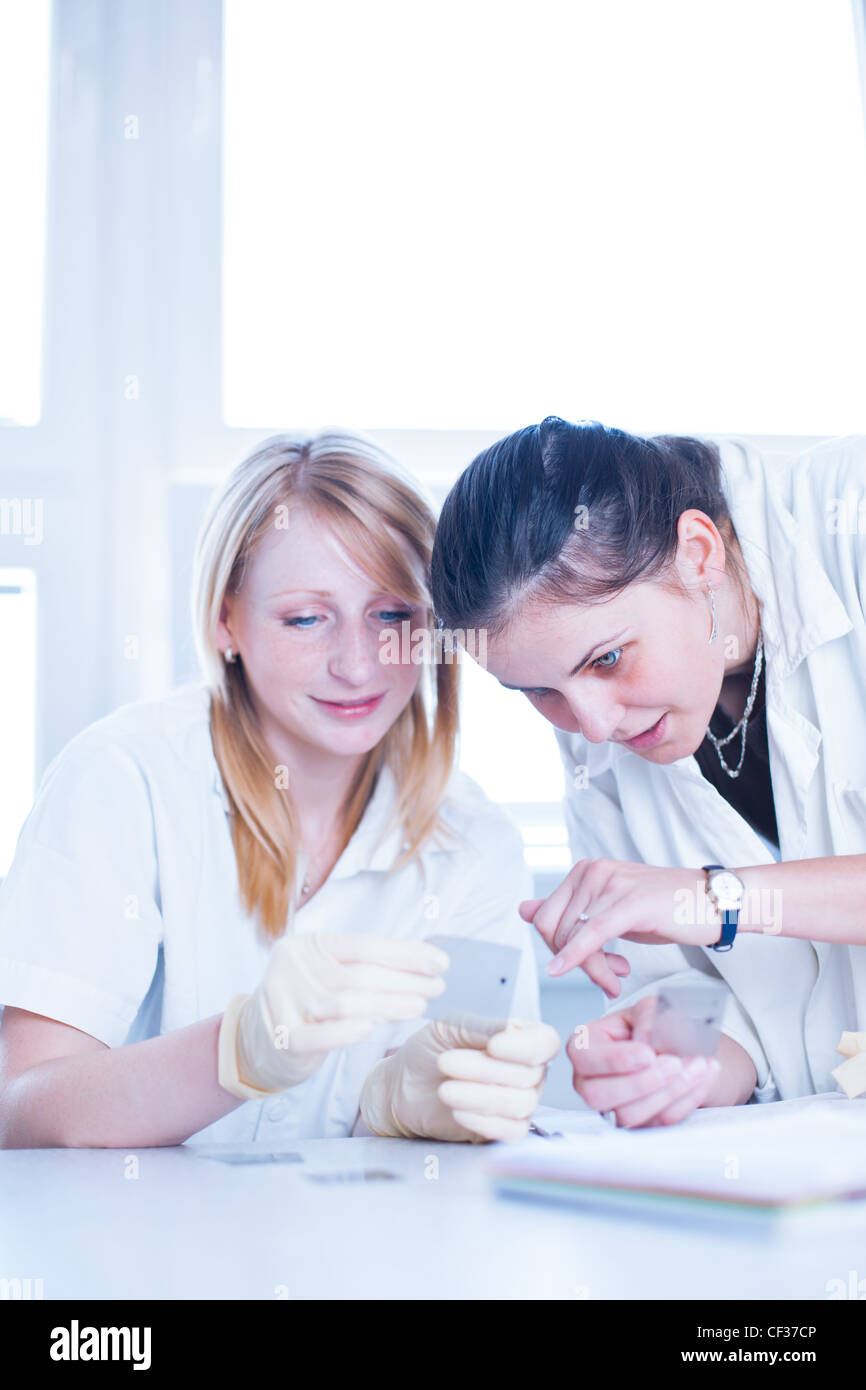 portrait of a female researcher doing research in a lab (color toned ...