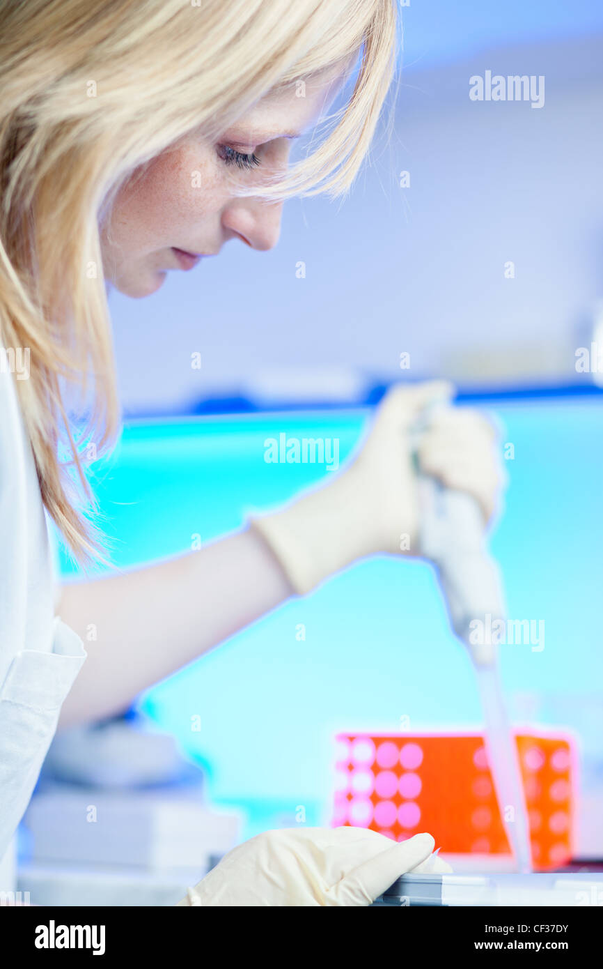 portrait of a female researcher doing research in a lab (color toned ...