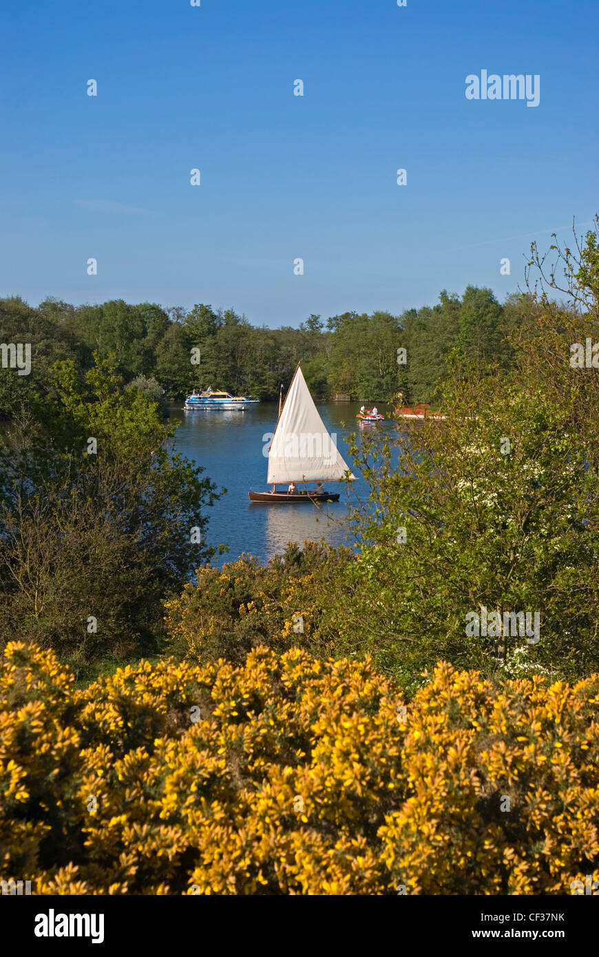 Boating on Salhouse Broad, a 32 acre lake created by sand and gravel ...