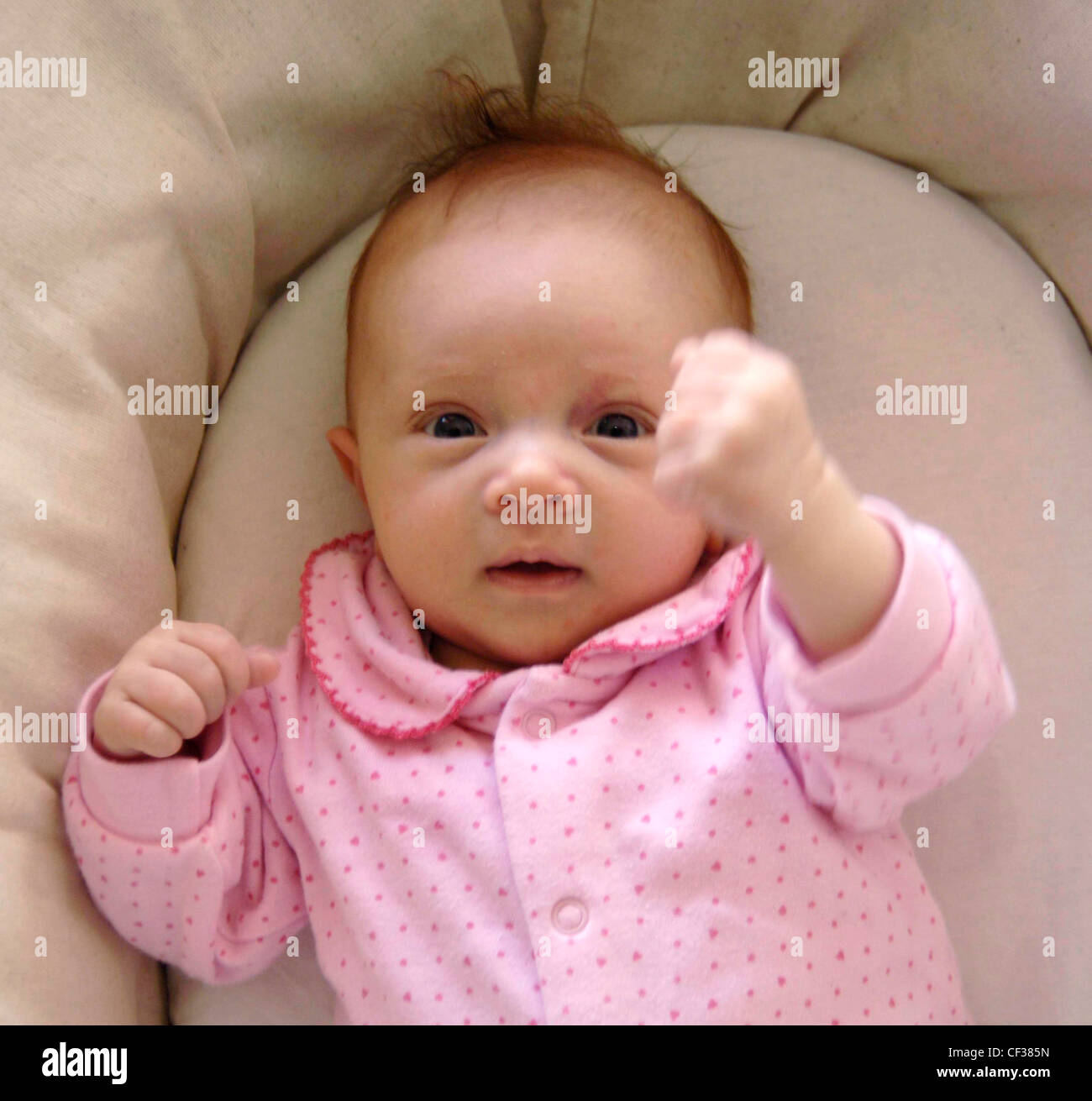 Female baby, months old, wearing a pink babygro, lying on her back ...