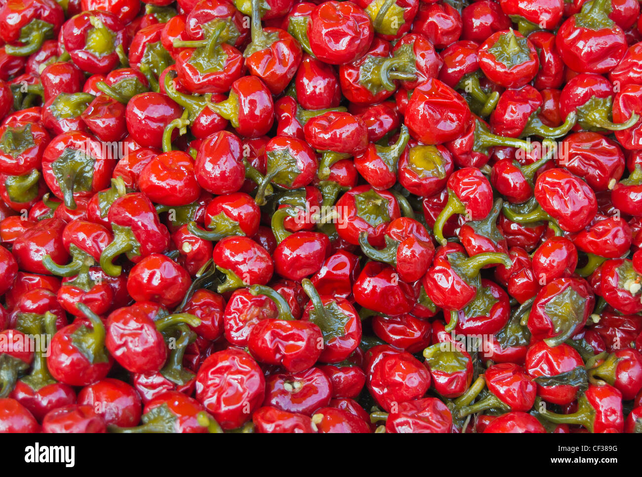 background of Calabrian chiles Stock Photo - Alamy