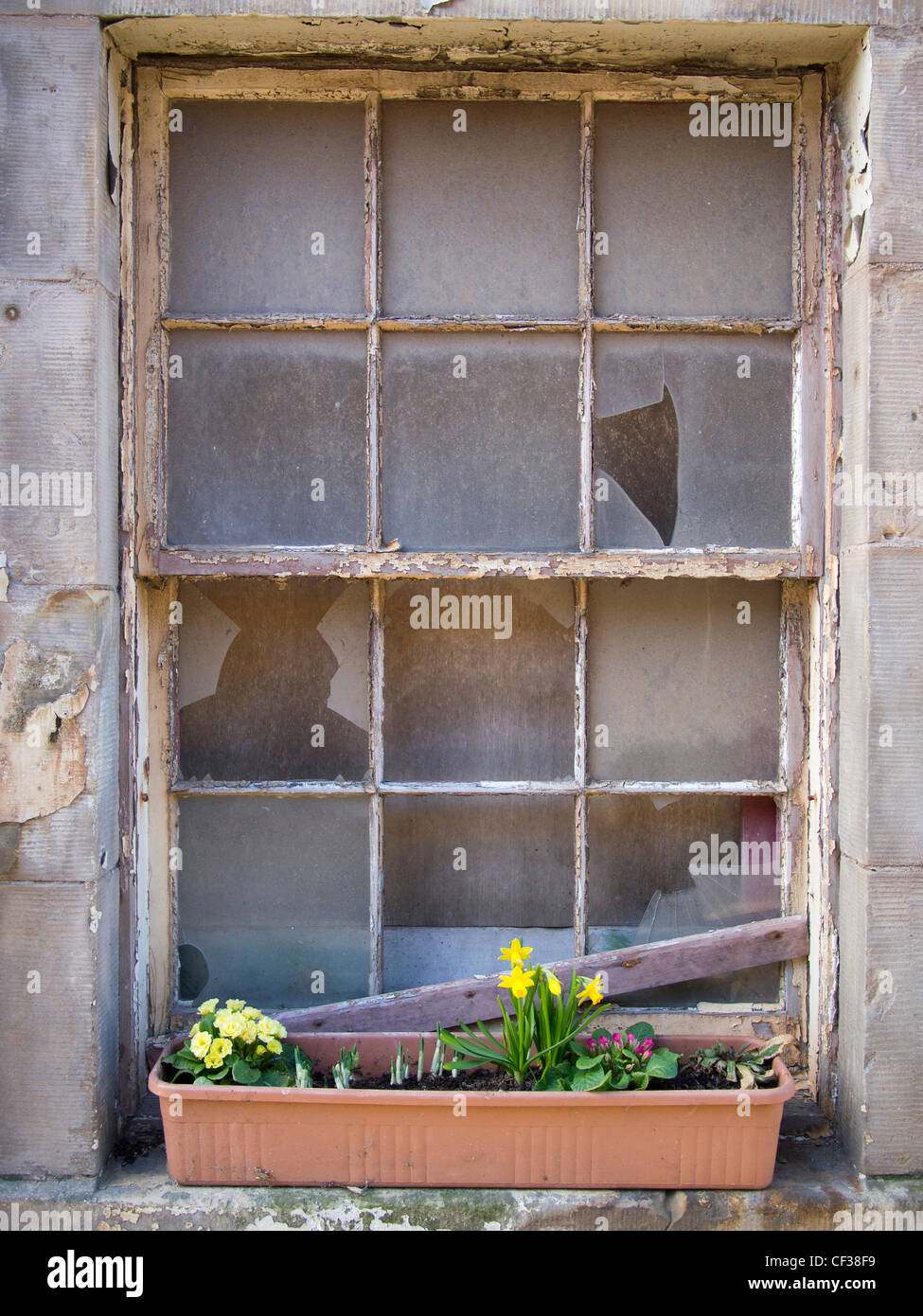 Old Window Box, Cellardyke, Fife Stock Photo - Alamy