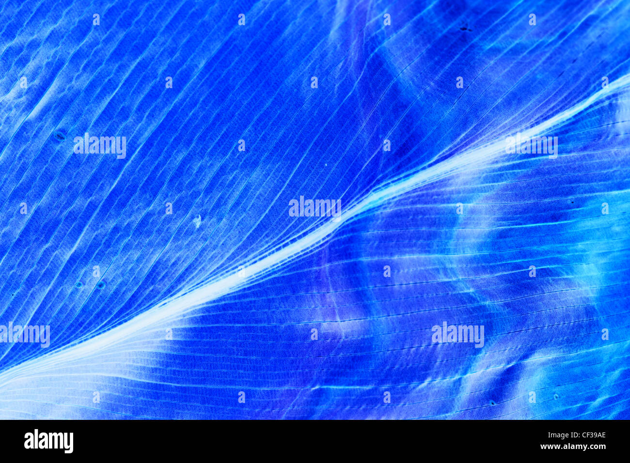 abstract background with abstract smooth lines Stock Photo - Alamy