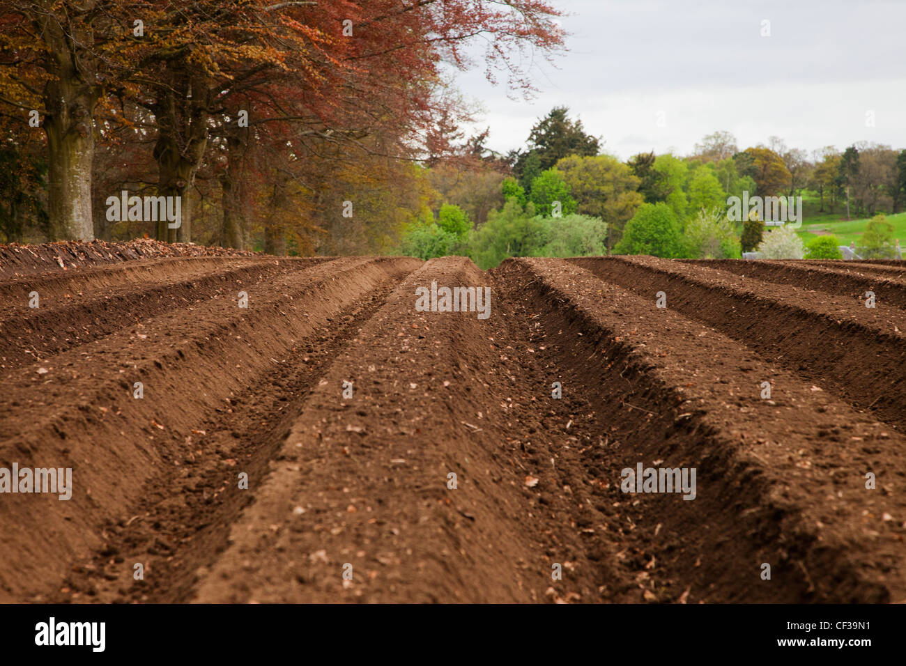 Earth farm hi-res stock photography and images - Alamy