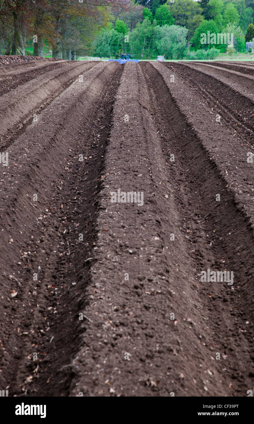 Furrows In The Soil; Perth Scotland Stock Photo - Alamy